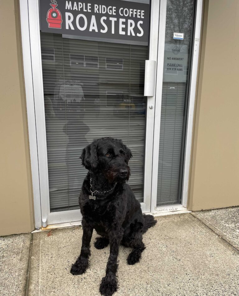 Maple Ridge Coffee Roasters